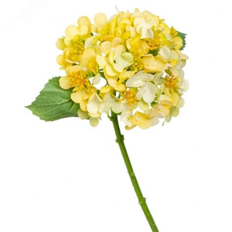 Artificial Hydrangeas Shipping Australia Wide Desflora