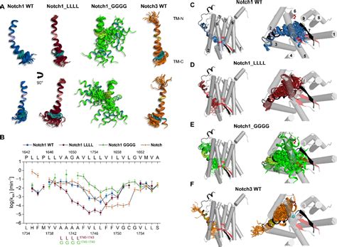 Substrate Selection Criteria In Regulated Intramembrane Proteolysis Acs Chemical Neuroscience