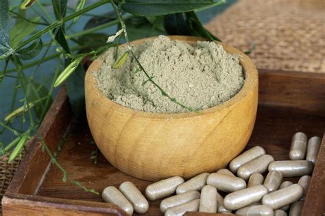 Andrographis Paniculata Extracts In Woodle Bowl With Herbal Capsules And Leaves 51806250 Stock