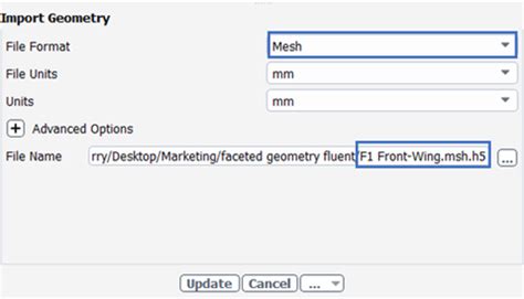Working With Faceted Geometry In Ansys Fluent Meshing DRD Technology