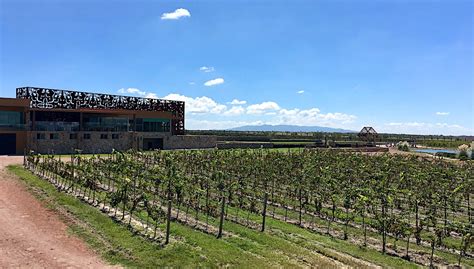 Vinícola Tres Raíces A Picture Perfect Day Of Wine Tasting In Mexico