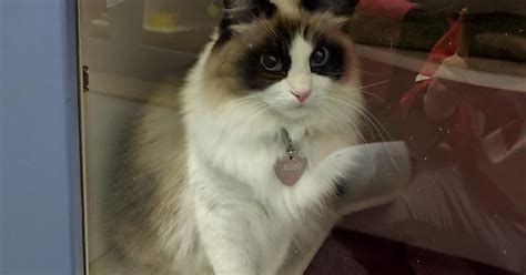 Its Sweetpea Album On Imgur