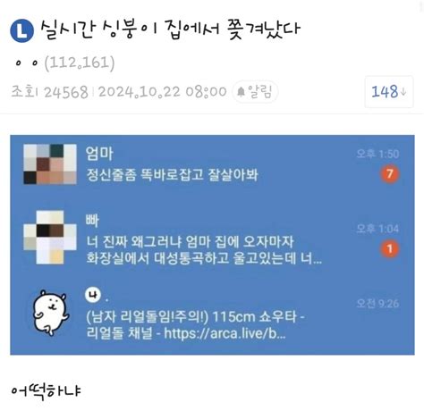 리얼돌 산거 걸려서 집에서 쫒겨난 디시인 유머 움짤 이슈 에펨코리아