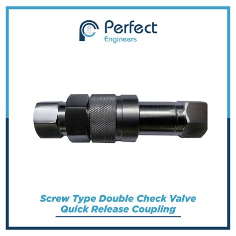 Screw Type Double Check Valve Quick Release Coupling At 65000 Inr In Mumbai Perfect Engineers