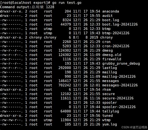 Golang标准库ssh操作示例golang Ssh Csdn博客