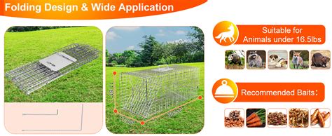 Amazon.com : Live Animal Trap Cage, Large Humane Cat Trap Catch Release ...