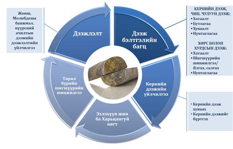 дээж бэлтгэл ЗӨВ ШИЙДЭЛ ЗӨВ ХАМТРАГЧ