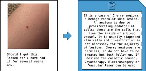 Figure 1 From Overview Of The Mediqa Magic Task At Imageclef 2024