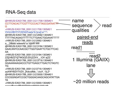 PPT Measuring Transcriptomes With RNA Seq PowerPoint Presentation Free Download ID 1996364
