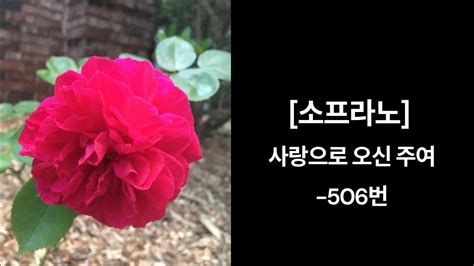 성체 ㅣ사랑으로 오신 주여 [소프라노] ㅣ가톨릭 성가 506번 ㅣ멜로디 오르간 ㅣ파트연습 Youtube