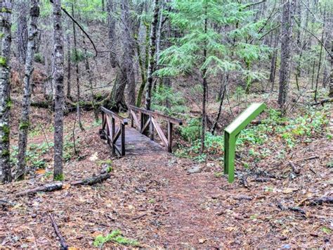 Mary West Exploring The Humbug Trail Lifestyles