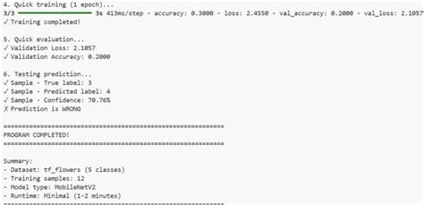 Image Classification With Bigtransfer Bit Using Keras
