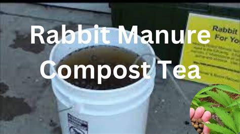 Rabbit Tea Fertilizer At Lynda Tawney Blog