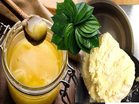 Kitchen Tips तूप बनवताना विड्याचं पान का वापरतात फायदे वाचून व्हाल अवाक् एकदा नक्की ट्राय