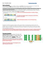 Day Mutations Notes Docx Day Mutations Notes Mutations Recap Slides What Is A Mutation