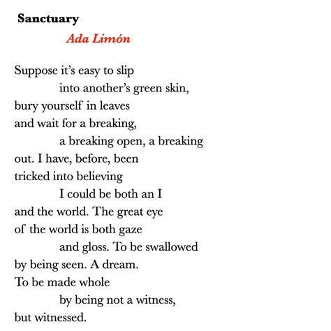 Witness By Aranya Poetly