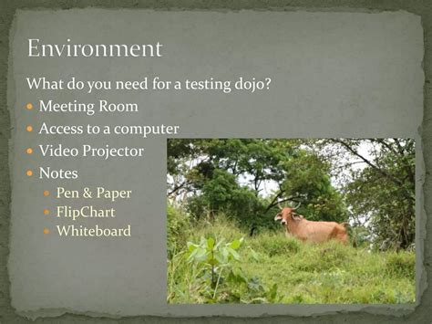 Testing Dojos Pptx