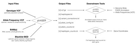 Github Secastelphaser Phasing And Allele Specific Expression From Rna Seq