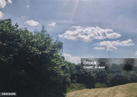빽빽한 푸른 숲 캐노피 위로 솜털 같은 흰 구름이 산재 한 광활한 광활한 푸른 하늘이 생생한 나무와 경계를 이룹니다 0명에 대한 스톡 사진 및 기타 이미지 Istock