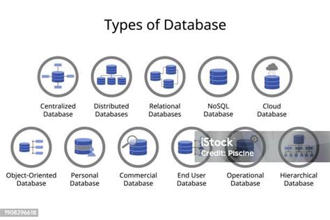 중앙 집중식 데이터베이스 분산 데이터베이스 관계형 Nosql 클라우드 개인용 상업용 객체 지향 계층적 등 다양한 유형의 데이터베이스 아이콘 0명에 대한 스톡 벡터 아트 및