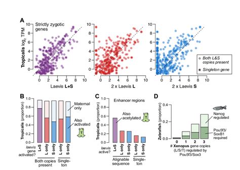Regulatory Divergence Underlies Dosage Maintenance A Biplots