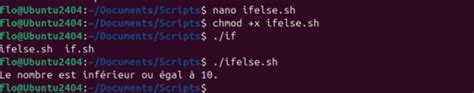 Maîtriser Les Conditions If Else Et Elif En Bash