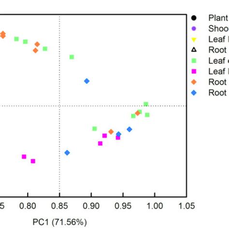 principal component analysis pca loading plot of the parameters in o