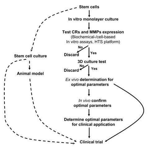 A Workflow Chart For Development Of Stem Cell Sub Populations Capable