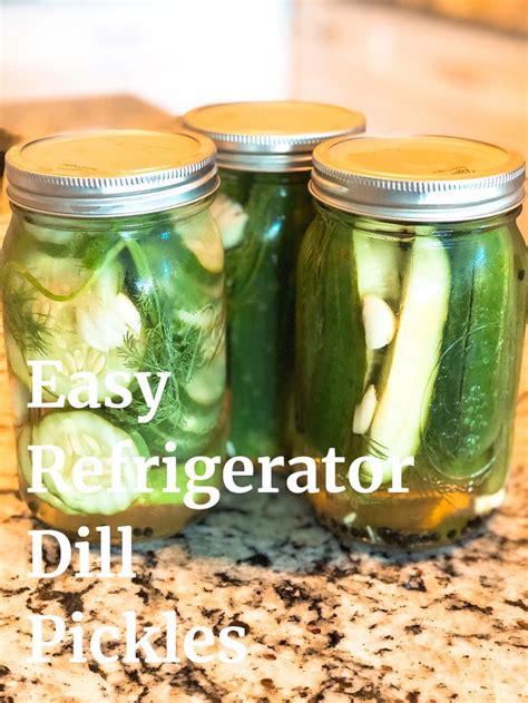 Easy Refrigerator Dill Pickles Recipe