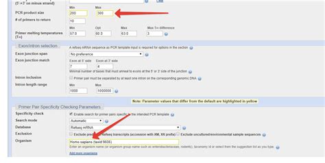 Primer Design Using Blast At Richard Colon Blog