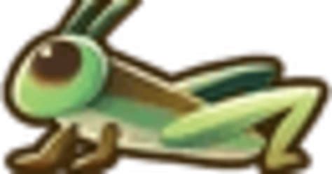 Grasshopper Coral Island Insect Checklist