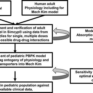 Workflow Of Drug Model Development And Verification PBPK Download Scientific Diagram