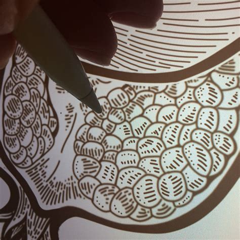 How To Draw The Scent For The Reed Diffuser Behance