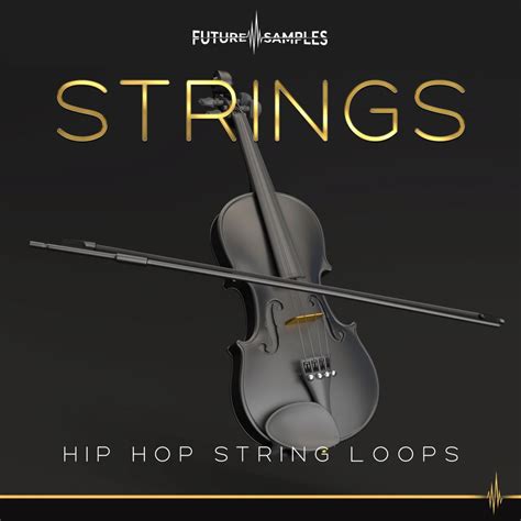 Strings Hip Hop String Loops Producer Sources