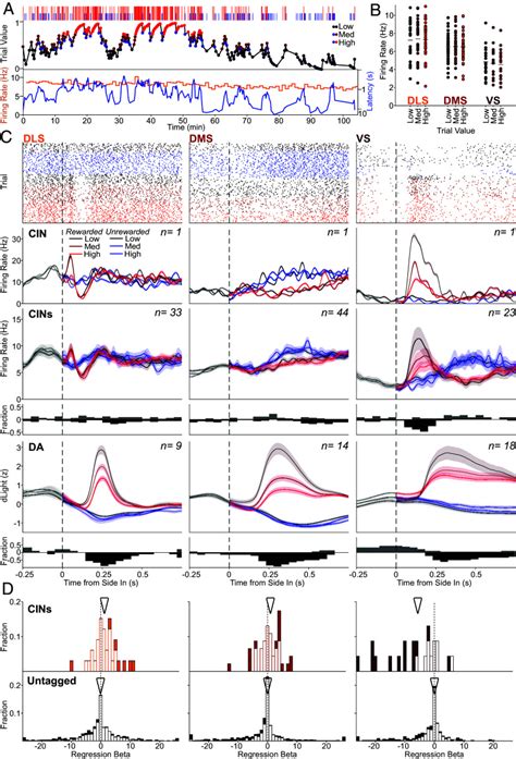 A Mismatch Between Striatal Cholinergic Pauses And Dopaminergic Reward Prediction Errors Pmc