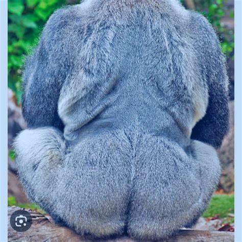 Noah Irvin Noah Irvin2025 Snapchat Verhalen Spotlight En Lenzen