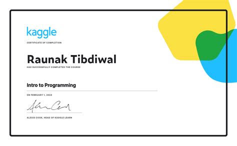 Raunak Tibdiwal Completed The Intro To Programming Course On Kaggle