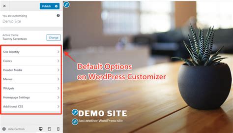 how to use wordpress customizer wordpress download manager