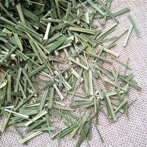 Dry Lemongrass Packaging Type Pp Bag At Rs 40kg In Ranchi Id