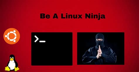 beginner ninja linux commands