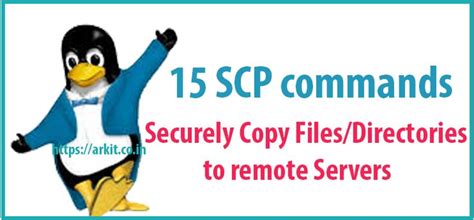 A Penguin With Its Arms In The Air And Text That Reads 15 Scp Commands