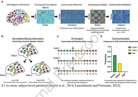 Functional Brain Networks Were Constructed From Resting State Fmri Download Scientific Diagram