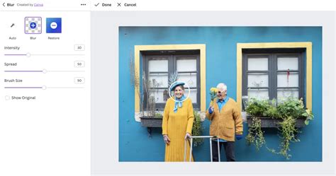 How To Blur Part Of An Image In Canva SoftTuts