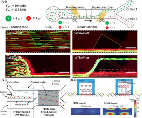 The Isolation Of Ctcs By Developing Tilted Angle Saw‐based µ‐chips