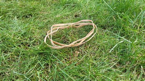 Elastic Band Warning Hedgehog Street