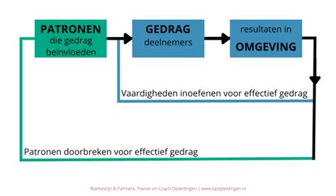 Single Double En Triple Loop Trainen Blankestijn Partners