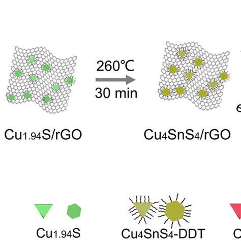Schematic Illustration Of The Synthesis Of The Cts Rgo Composites