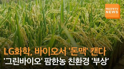 Lg화학 바이오서 돈맥 캔다그린바이오 팜한농 친환경 기업으로 재탄생 Youtube