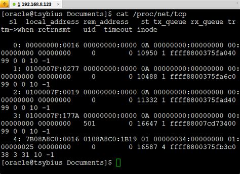 linuxRedHat从 proc net tcp 中读取tcp连接信息 CSDN博客