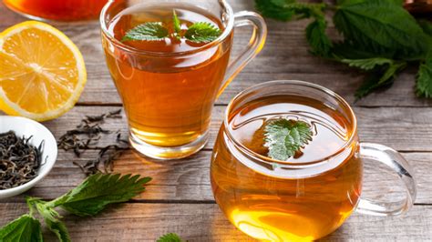 Simple Stinging Nettle Infusion Tea Recipe Akili Natural Products